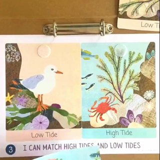 PDF] Rockpool Stage 1 Busy Quiet Book Learning Kids Printable ...