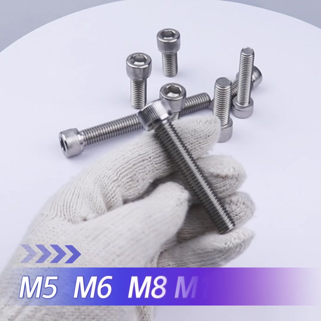 M5 M6 Hex Socket Cap Head Screws 304 Stainless Steel SHINY SURFACE ...