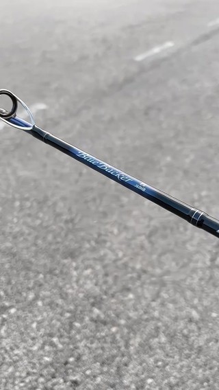 2024 DAIWA BLUE BACKER EX TYPE J AND LJ LIGHT JIGGING FISHING ROD ...