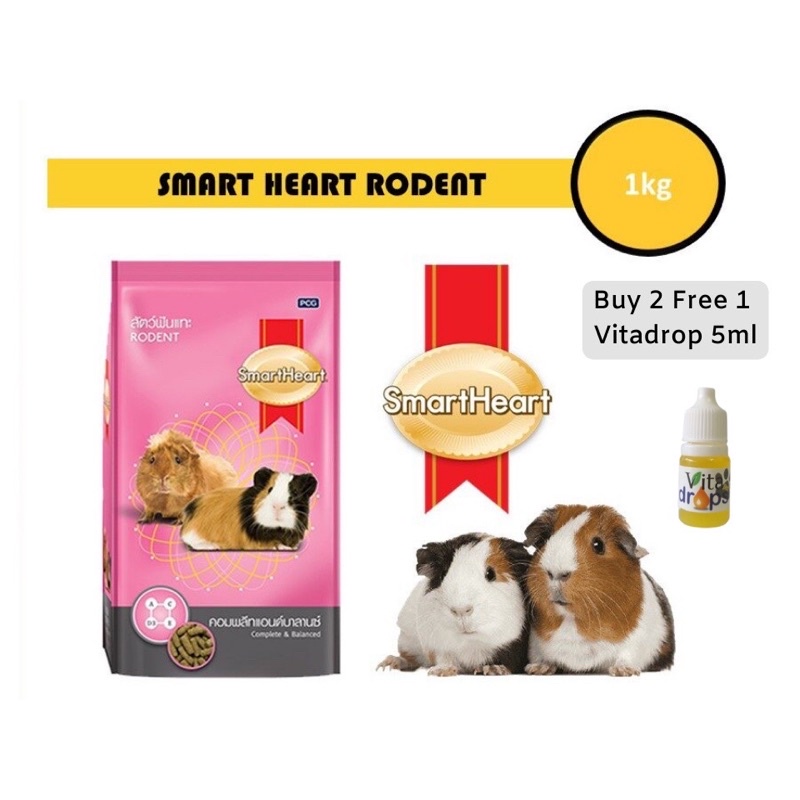 SmartHeart Rodent / Guinea Pig Food 1kg (Buy 2 Free 1 5ml Vitadrop ...