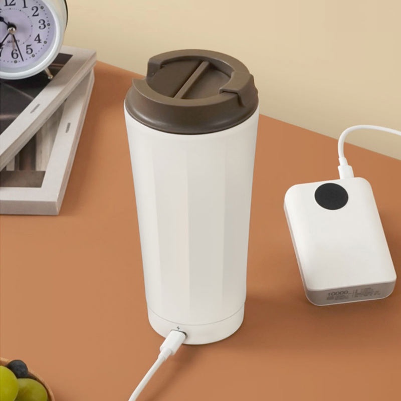 Xiaomiyoupin Zhenmi 350ML Electric Kettle Portable Type C Charging Home ...