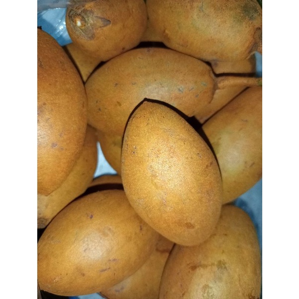 BUAH CIKU MADU (1KG) | Shopee Malaysia