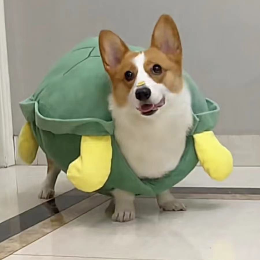 Dog Turtle Shell Clothes Pet Autumn Winter Small Bichon Teddy ...
