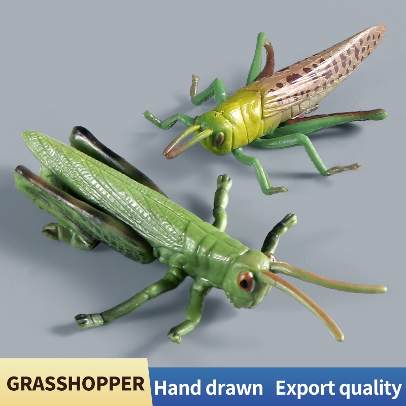 Solid Simulation Insect Animal Model Grasshopper Action Figures Boys ...