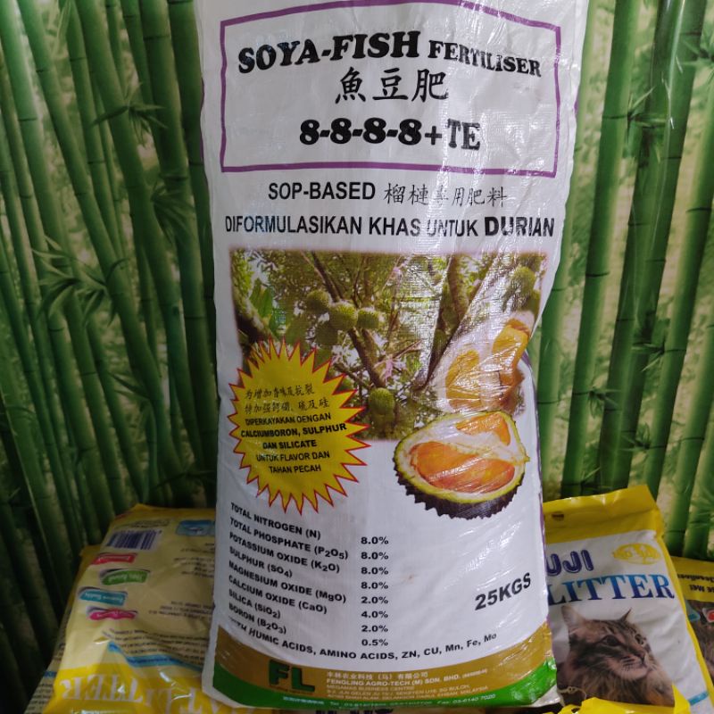 1KG BAJA KHAS POKOK DURIAN SOYA FISH 888 BAJA SUBUR BAJA BUAH | Shopee ...