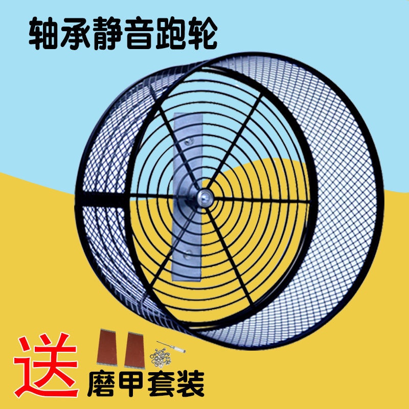 [VIP] Squirrel Running Wheel Honey Glider Silent Nail Grinding Claws ...