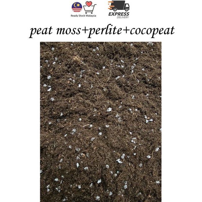6L peat moss perlite cocopeat | Shopee Malaysia