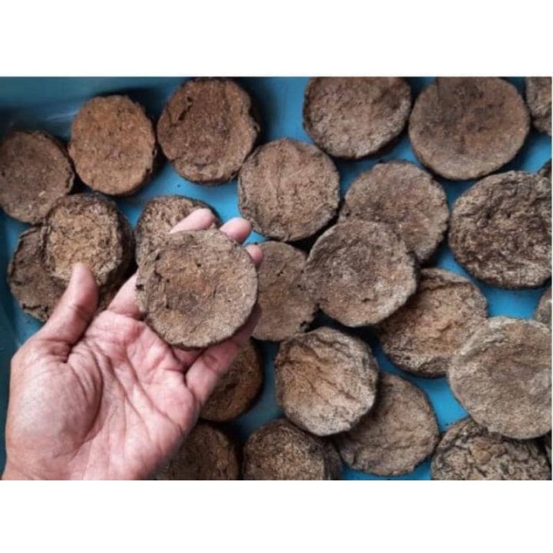 cow dung cake (varathi) | Shopee Malaysia