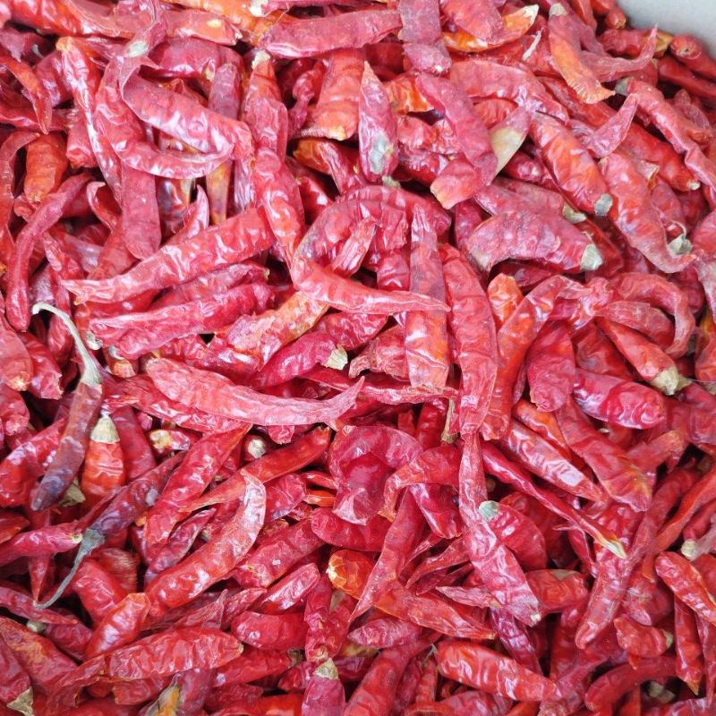 Cabai Kering Siam / Cili Kering Siam Thailand Pedas | Shopee Malaysia