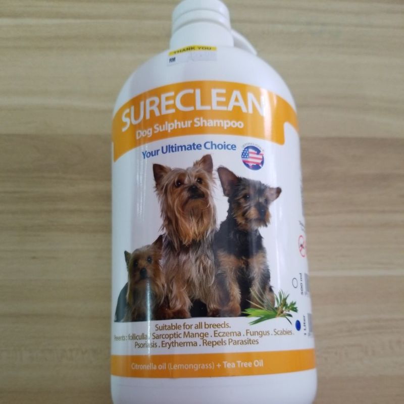 SURE CLEAN Shampoo Olive | Shopee Malaysia