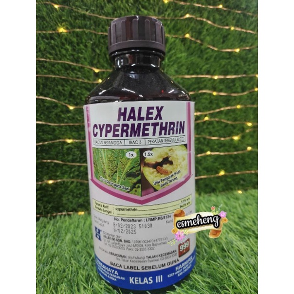 1L Halex Cypermethrin 5.5% / Racun Serangga / Membunuh serangga perosak pada tanaman | Shopee ...