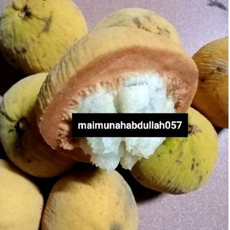 Buah Setoi Kampung/Sentol | Shopee Malaysia