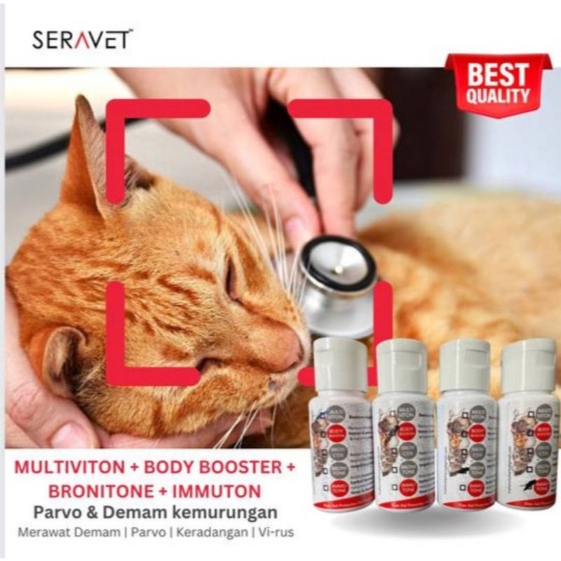 Kucing selsema parvo demam kemurungan >>MALTA VET 4 IN 1- Vitamin ...