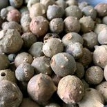 BUAH MANJAKANI 💯 ASLI (50 GRAM) | Shopee Malaysia