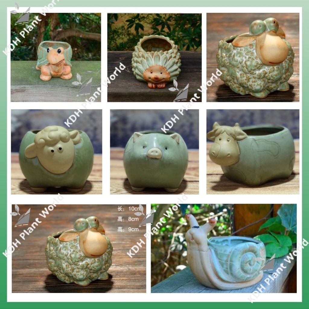 KDH Ready Stock Cute Flower Pot Succulent Cactus Pot Pasu Bunga Sukulen ...