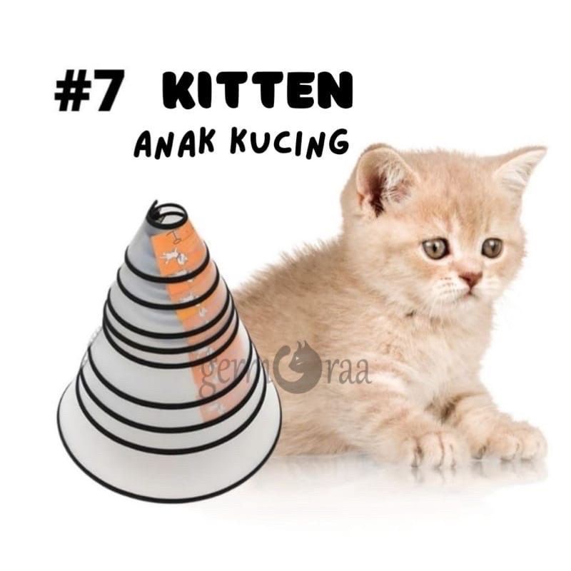 Ubat Kutu Kucing Berkesan Rawat Ear mites Fleas Lice Tick in Cats Ubat ...