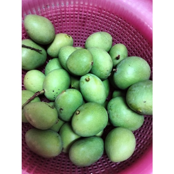 500g 😍 Mangga Telor Masam /Mangga Ciku Masam | Shopee Malaysia
