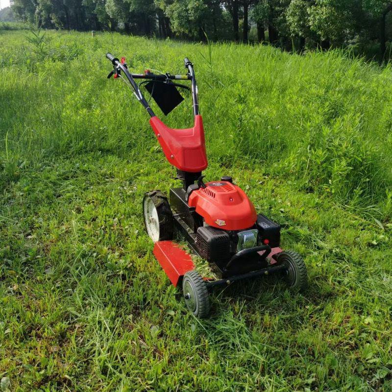 Petrol Driven Mower Hand Push Lawn Mower Self-Propelled Crushing Grass ...