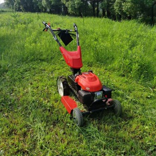 Petrol Driven Mower Hand Push Lawn Mower Self-Propelled Crushing Grass ...
