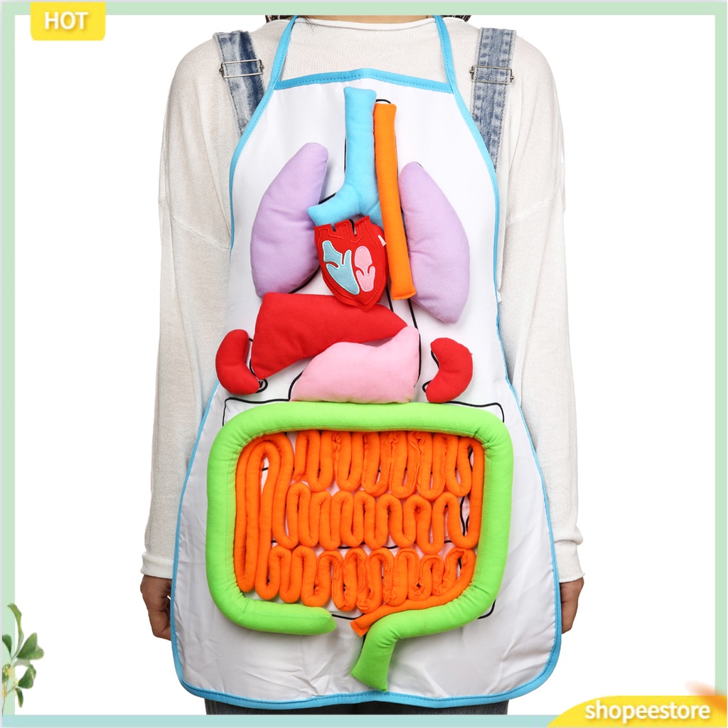 (shopeestore) Anatomy Apron Human Body Organ Educational Tool Children ...
