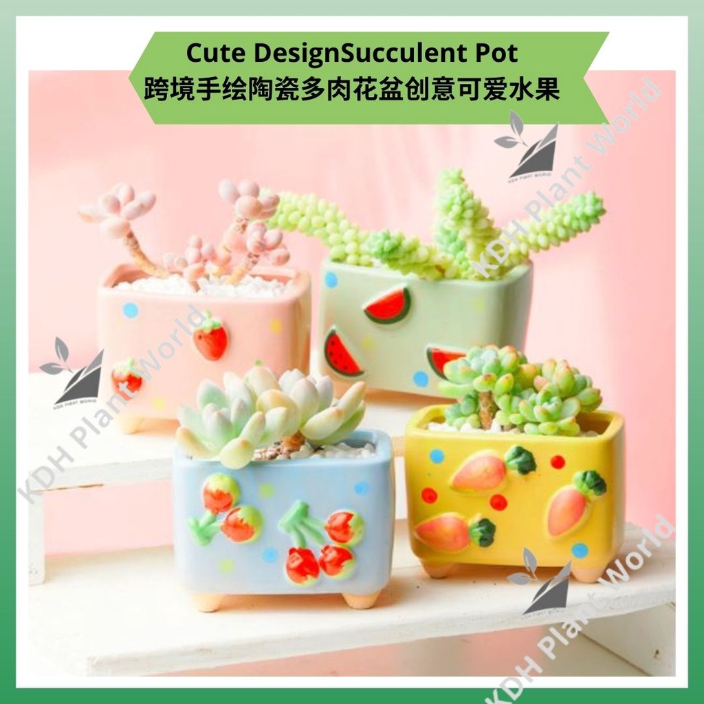 KDH Ready Stock Cute Design Succulent Cactus Pot Pasu Bunga Sukulen ...