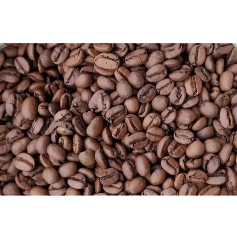 Arabica Roasted Coffee Bean / Biji Kopi Arabica Panggang ( Brazil ...