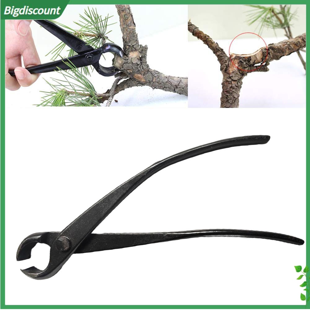 Professional Plant Branch Cutter Round Edge Bonsai Tree Trim Pliers ...