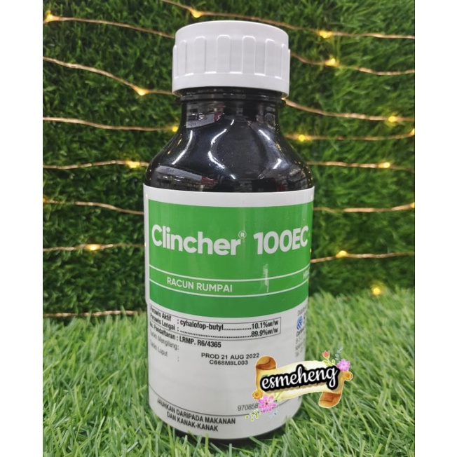 500ml Clincher 100EC / Rumput Bunga Tebu / Rumput Ekor Tebu / Rumput ...
