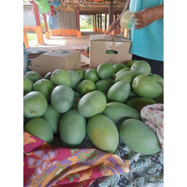MANGGA HARUM MANIS DARI PERLIS (kos pos shj) | Shopee Malaysia