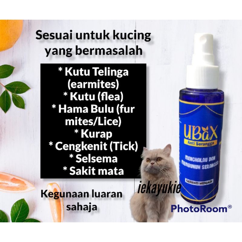 RAWATAN KUCING (UBAX CAT HERO ORIGINAL HOLOGRAM HQ) | Shopee Malaysia