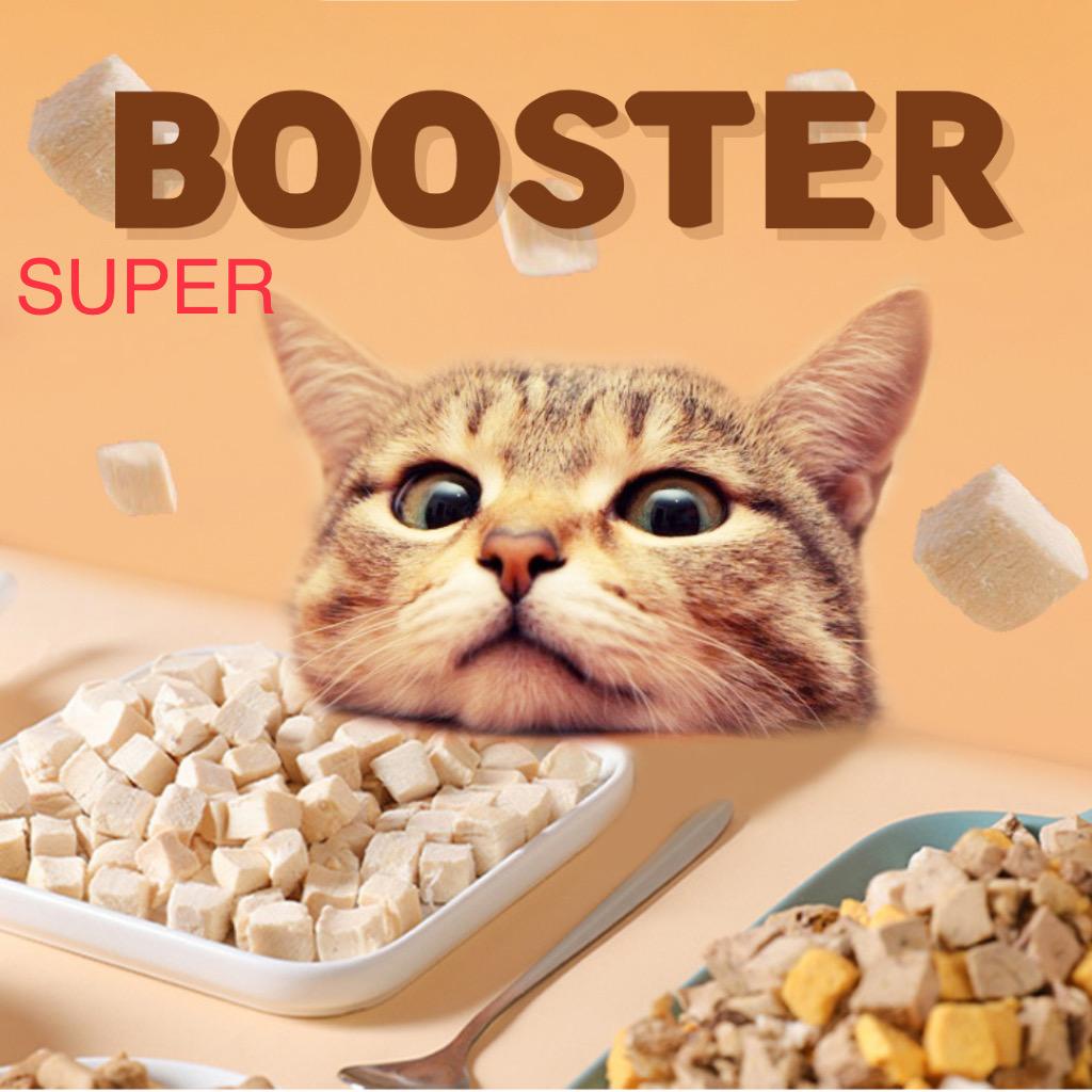 Freeze Dried SUPER BOOSTER Cat Chicken Cube 650g / Beku Kering SUPER ...