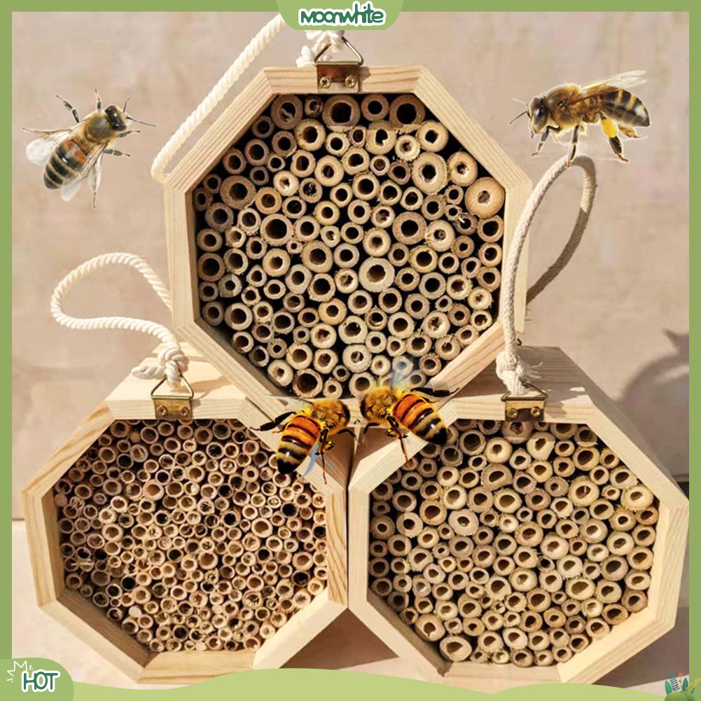 (MOONWHITE) Creative Wooden Tube Bee Hive Insect House Mating Box ...