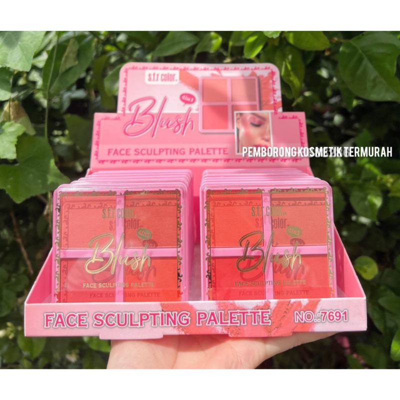 BLUSH SFR COLOR FACE SCULPTING PALETTE | Shopee Malaysia
