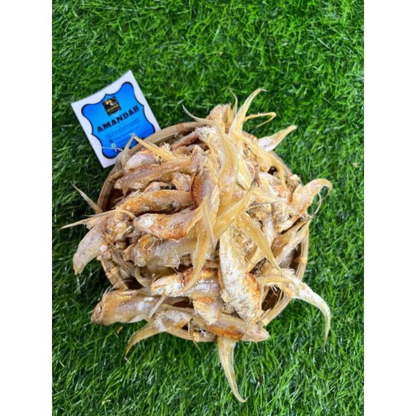 IKAN MASIN BULU AYAM,IKAN KERING TAJUNNG DAWAI (100G-1KG) | Shopee Malaysia