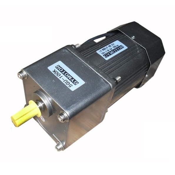 AC 220V 250W Single phase Constant speed motor with gearbox. AC 220V ...