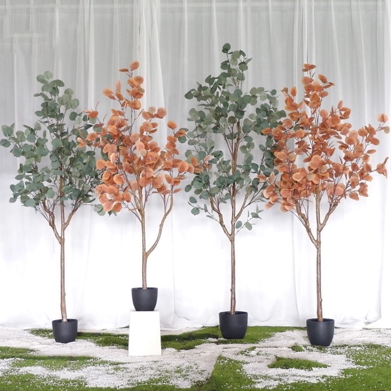 Artificial Eucalyptus Money plant olive tree Daun Koko Pokok Hiasan ...