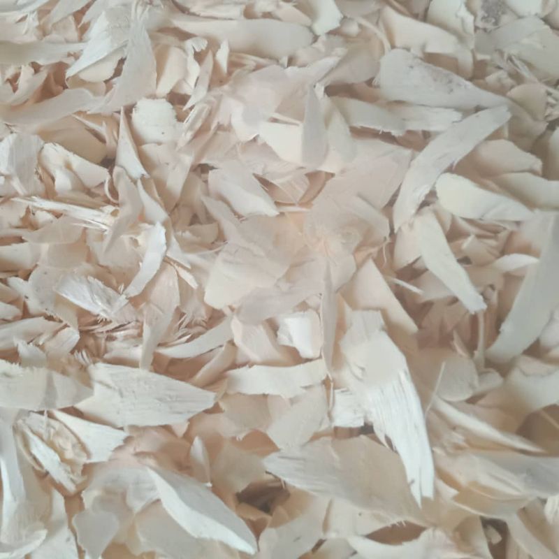 TONGKAT ALI PUTIH 💯% akar kayu ASLI | Shopee Malaysia