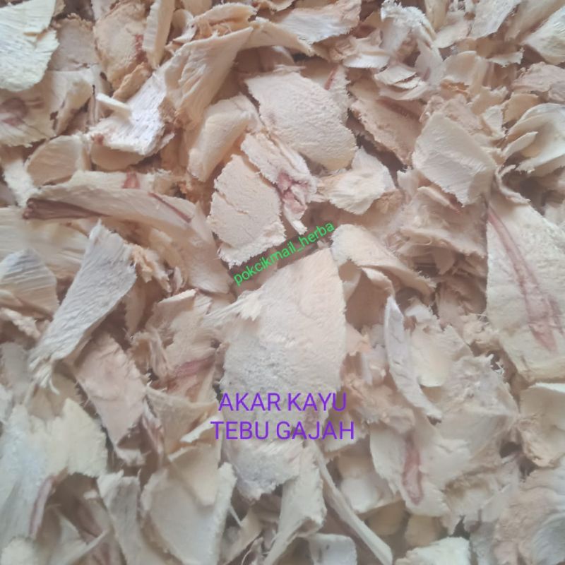 herba/akar kayu TEBU GAJAH/akar manis 💯 ASLI(penawar diabates@kencing ...