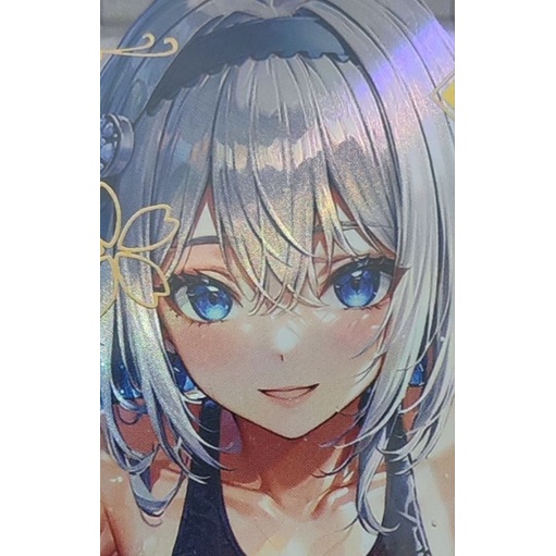 Card The Ryuo's work Never Done Nendoroid Ginko Sora anime Waifu TCG ... Card The Ryuo's work Never Done Nendoroid Ginko Sora anime Waifu TCG ...