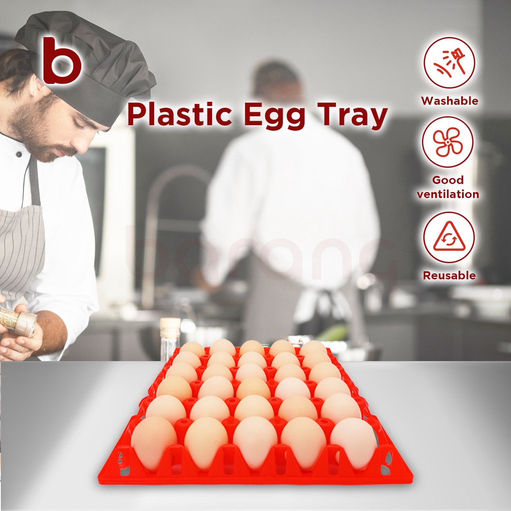 [READY STOCK] Wash and Rinse Eggs Plastic Egg Tray | Egg Crates 30-Egg ...