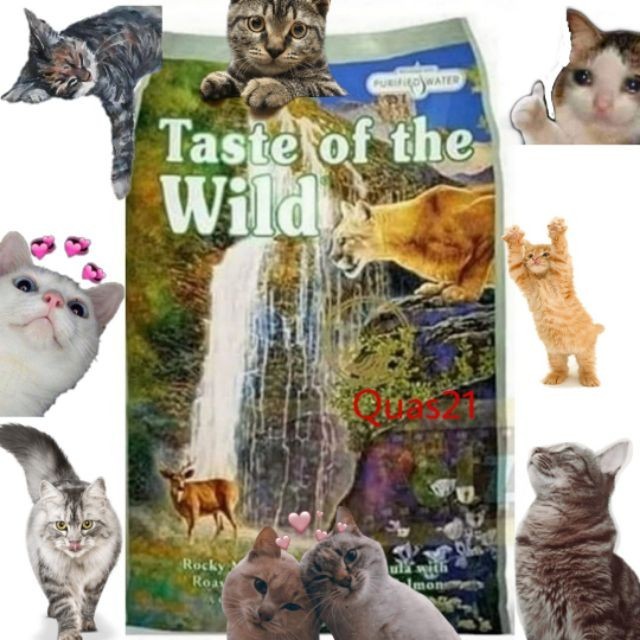 TOTW Taste of The Wild- Rocky Mountain Feline (Free Shipping) | Shopee ...
