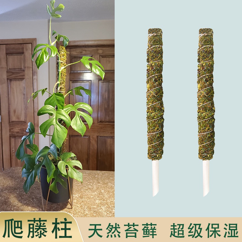 HY@Monstera Deliciosa Support Rod Devil's Ivy Climbing Column Coconut ...