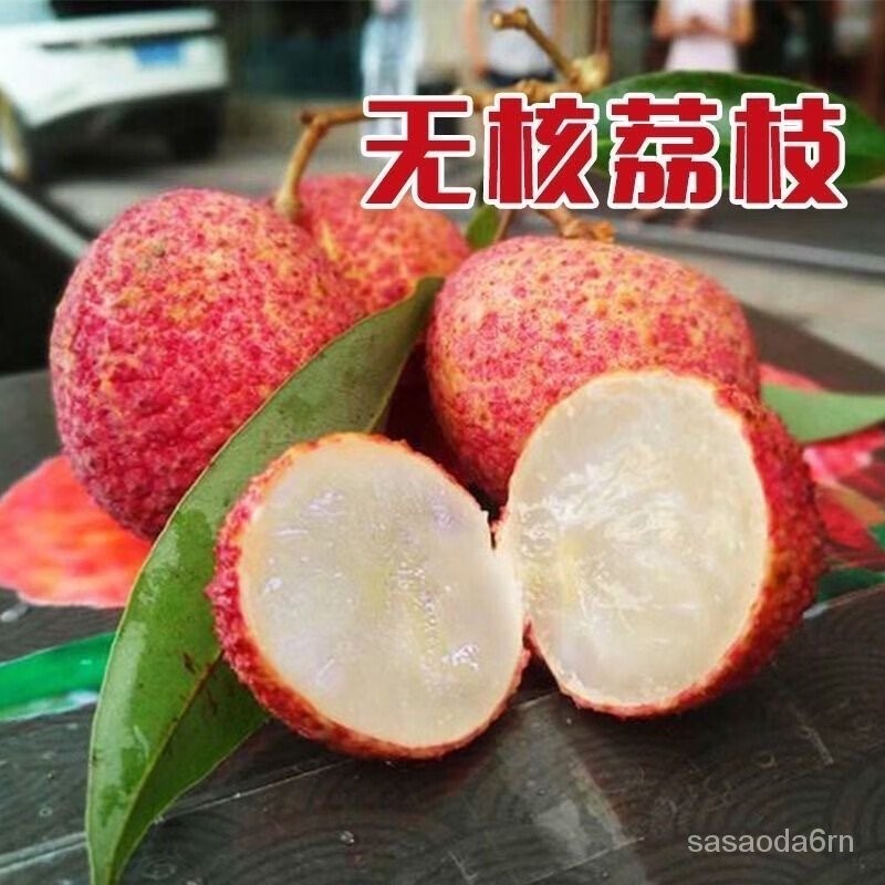 Plants that are truly alive 活着的植物Delivery of Seedless Lychee with ...