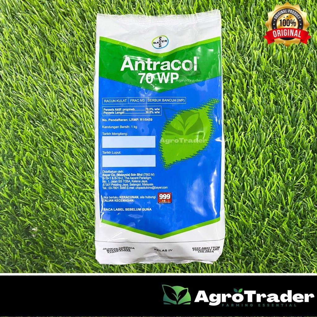Bayer Antracol 70WP 1kg - Propineb 70.0% WP Racun Kulat | Shopee Malaysia