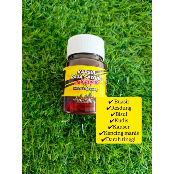 RAJA SATONG ORIGINAL 30 BIJI RESDUNG | KUDIS | KANSER | KENCING MANIS ...