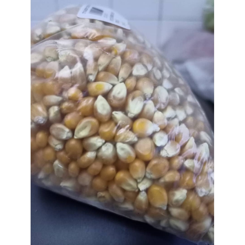 BUTTERFLY/MUSHROOM POPCORN KERNELS 500g | BERTIH JAGUNG CENDAWAN 500g ...