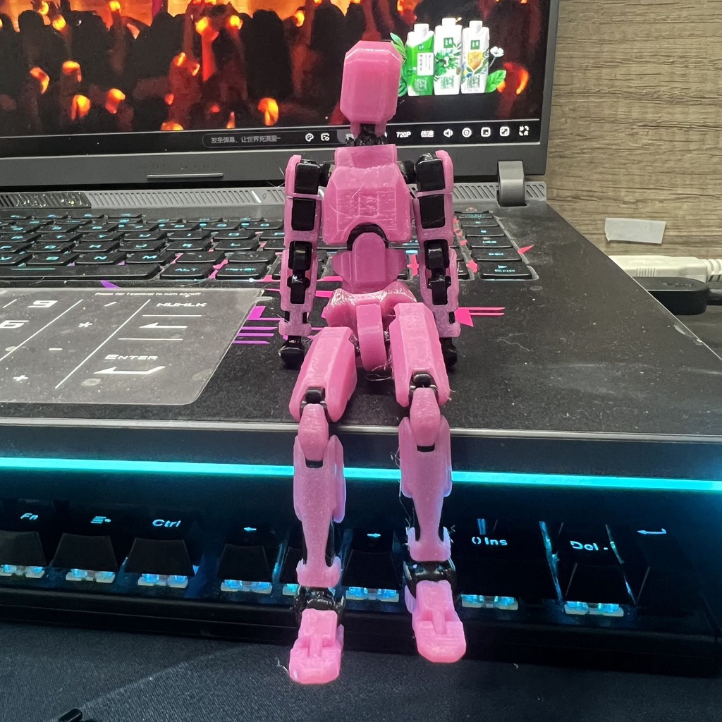 3rd generation Dummy13 articulated movable doll 3d printed dummy toy ...