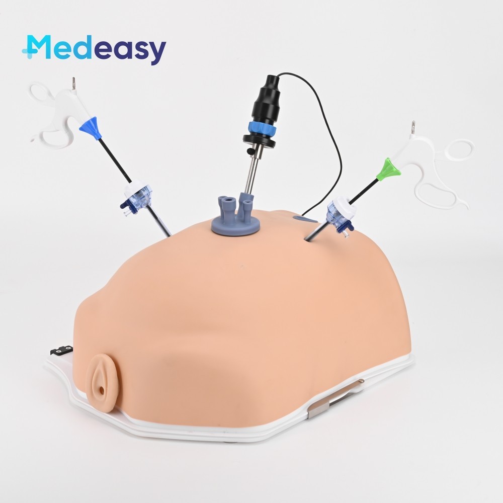 New Simulated Belly Laparoscopic Simulator Box Endotrainer with HD ...