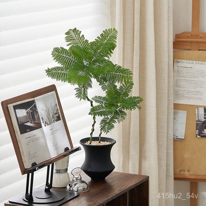 (Hot Sale)Jacaranda Mimosifolia Potted European StyleinsGreen Plant ...