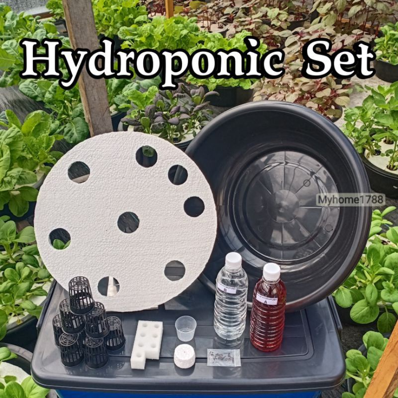 Hidroponik Set 🍁 Hydroponic Set 8 Holes 🍁 | Shopee Malaysia